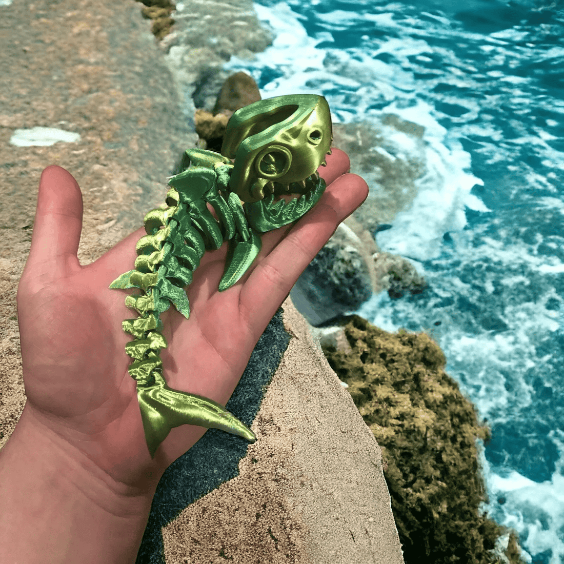 3D Articulated Bone Shark - Sharky! – StickEtch